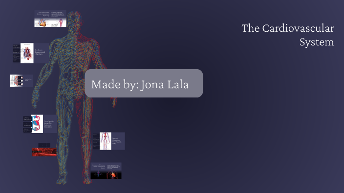 The Cardiovascular System: Anatomy and Physiology by Jona Lala on Prezi