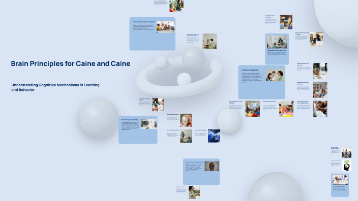 Brain Principles for Caine and Caine by فاطمة عقل الصوافطة on Prezi