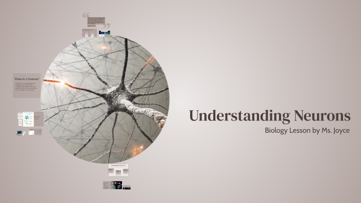 Understanding Neurons: The Building Blocks of the Nervous System by ...