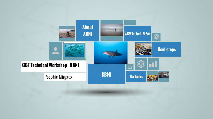 GBF Technical Workshop - BBNJ by Sophie Mirgaux on Prezi