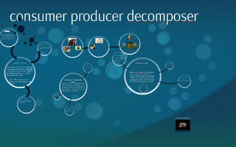consumer producer decomposer by Delisle Leslie on Prezi