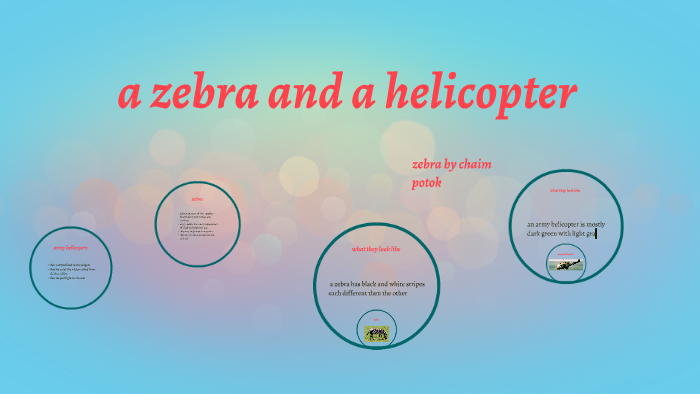 a zebra and a helicopter racing by gracelyn devine on Prezi