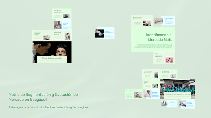 Matriz de Segmentación y Captación de Mercado en Guayaquil by Alixon ...