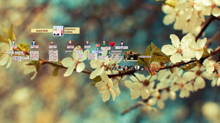 Family Tree by on Prezi