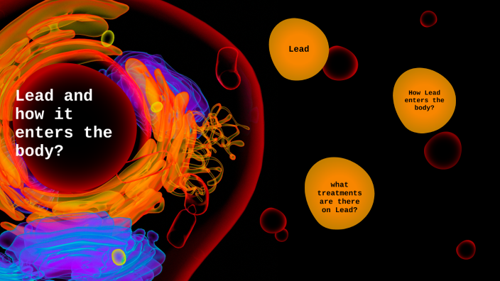 Lead and how it gets in the body system by Leon Bitaks on Prezi