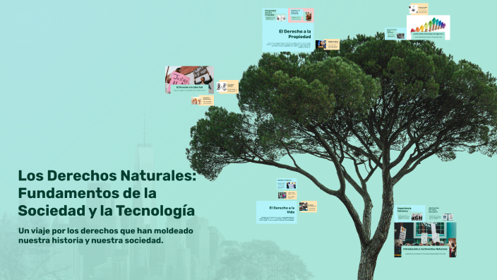Los Derechos Naturales: Fundamentos de la Sociedad y la Tecnología by ...