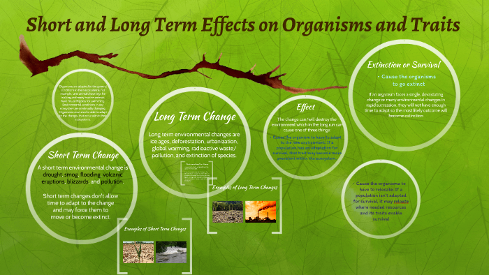 Short and Long Term Changes by Shannon John on Prezi