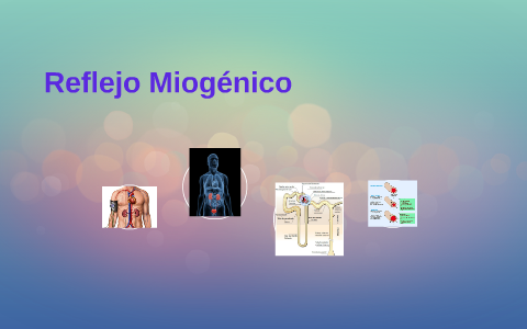Reflejo Miogénico by Jahaira Linares Escapa on Prezi