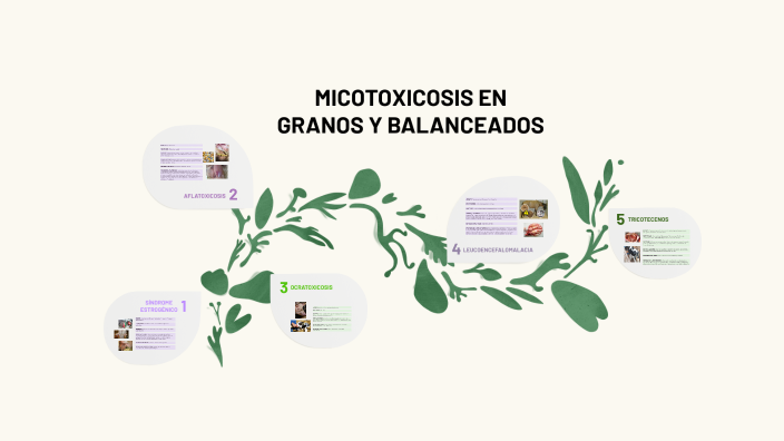 MICOTOXICOSIS EN GRANOS Y BALANCEADOS by Rocio Arnoni on Prezi