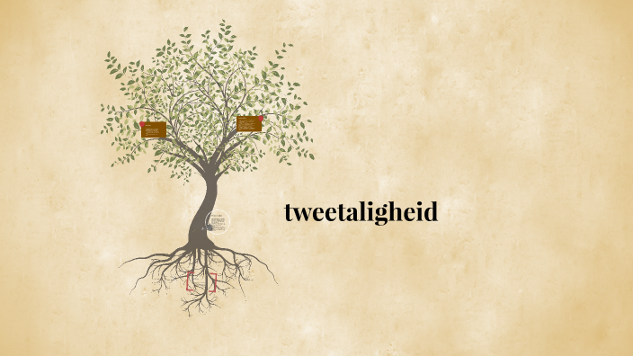 tweetaligheid by Veere Ootes on Prezi