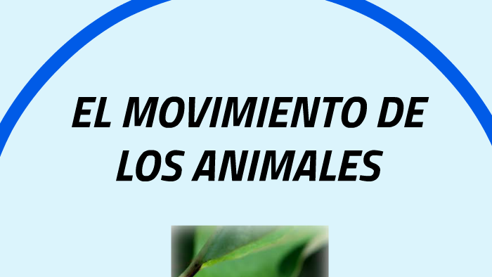 EL MOVIMIENTO DE LOS ANIMALES by Alexander Diaz Garcia on Prezi