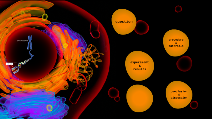 HS-LS1-1 From Molecules to Organisms: Structures and Processes by ...
