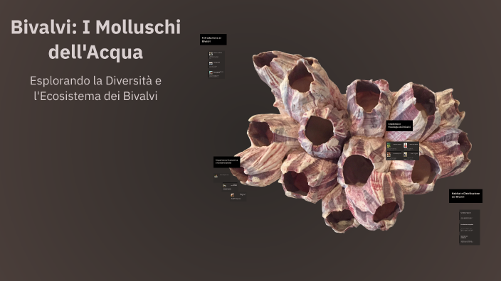 Bivalvi: I Molluschi dell'Acqua by Andrea Pel on Prezi