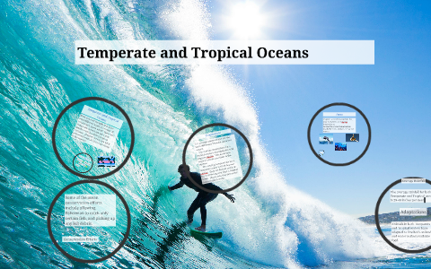 Temperate and Tropical Oceans by caleb caleb on Prezi