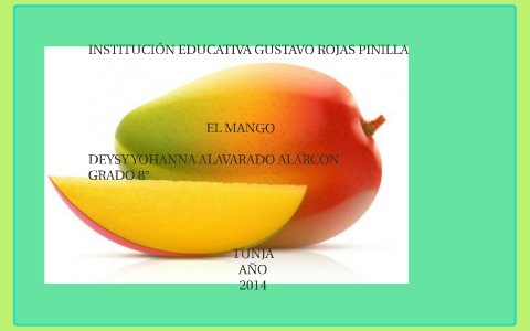 ¿QUE ES UN MANGO? by on Prezi