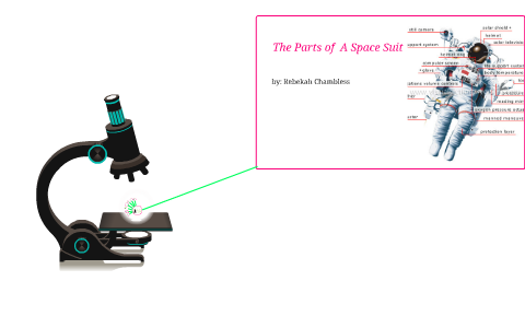 The Parts of A Space Suit by Lauren Cabrera on Prezi