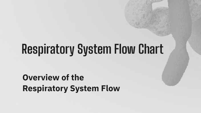 Respiratory System Flow Chart by Sarada. G on Prezi