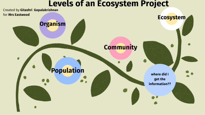 Levels of an Ecosystem Project by Gitashri Gopalakrishnan on Prezi