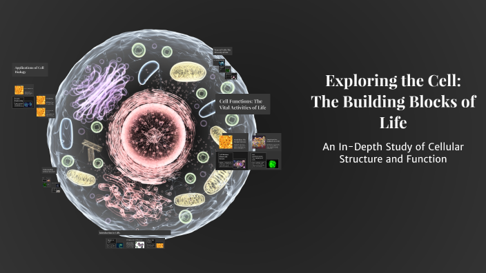 Exploring the Cell: The Building Blocks of Life by Thais Nishikata on Prezi