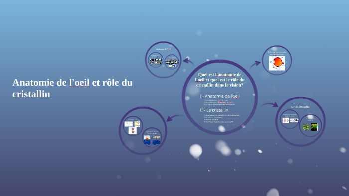 Anatomie de l'oeil et rôle du cristallin by on Prezi