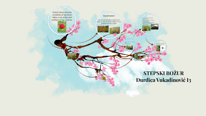 STEPSKI BOŽUR by Đurđica Vukadinović on Prezi