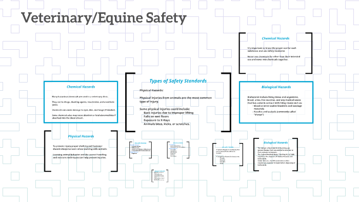 Veterinary/Equine Safety by Kaylee Chaney