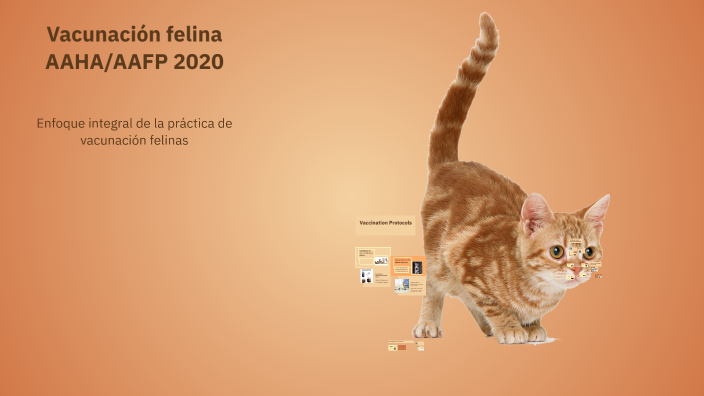 2020 AAHA/AAFP Feline Vaccination Guidelines by Alexander Portillo on Prezi