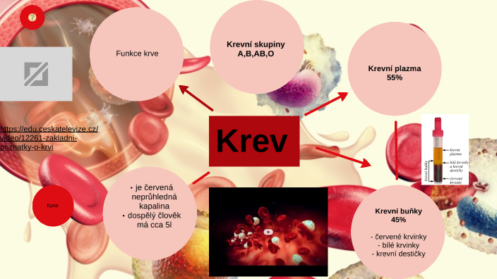 Krev by I R on Prezi