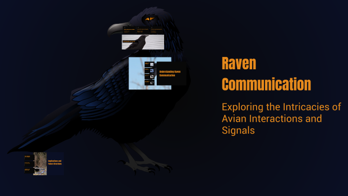 Raven Communication by tergel pro on Prezi