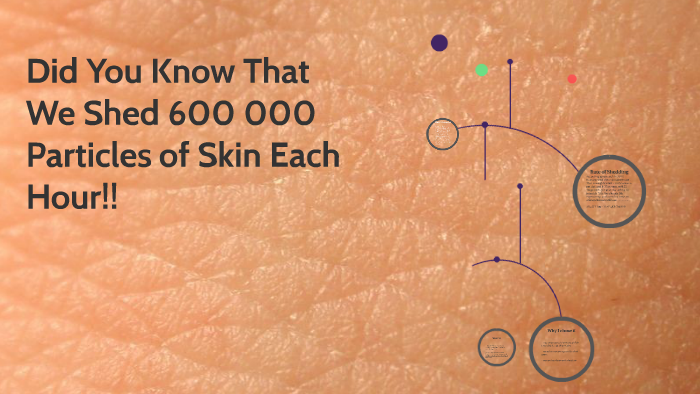 Did You Know That We Shed 600 000 Particles of Skin Each Hou by Jarrett ...