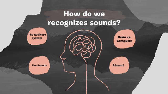 How Do We Recognize Sounds? by Alexander Barreto Valer on Prezi