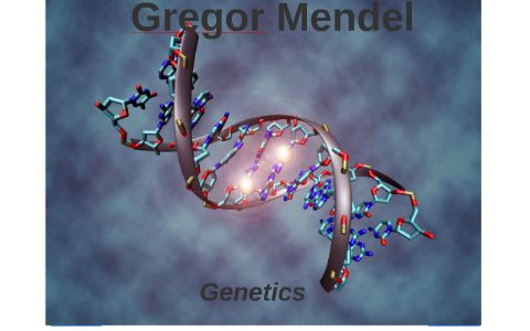 Gregor Mendel was the founder of genetics. Mendel discovered by on Prezi