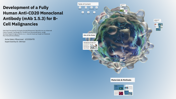 Development of a Fully Human Anti-CD20 Monoclonal Antibody (mAb 1.5.3 ...