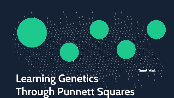 Learning Genetics Through Punnett Squares by Julia Petrich on Prezi