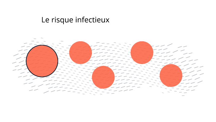 gestion du risque infectieux by léa courtinade on Prezi