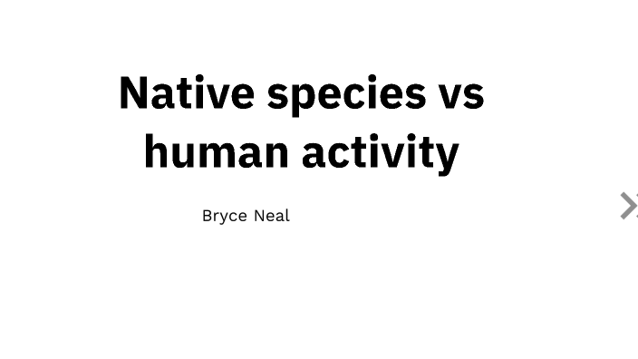 bryce by bryce neal on Prezi