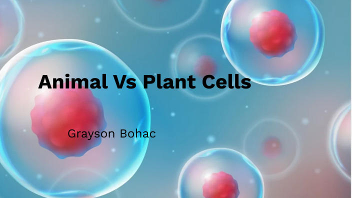 Cell Theory - Plants vs Animals by Grayson Bohac on Prezi
