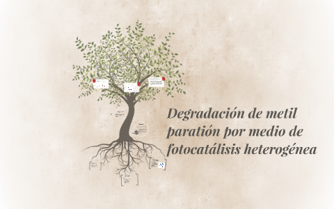 Degradación de metil paratión por medio de fotocatálisis het by Natalia ...