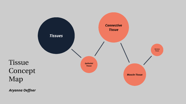 Tissue Concept Map by Aryanna Oeffner on Prezi