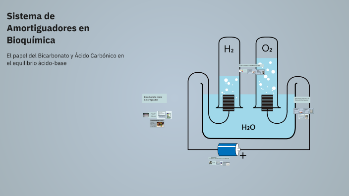 Sistema de Amortiguadores en Bioquímica by Eva Judit on Prezi