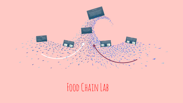 Food Chain Lab by Jessica Filpo on Prezi