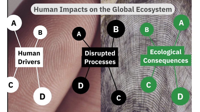 Human Impacts on the Global Ecosystem by Madelin Perry on Prezi