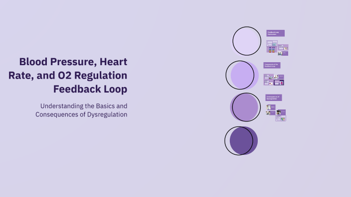 Blood Pressure, Heart Rate, and O2 Regulation Feedback Loop by Ditixa ...