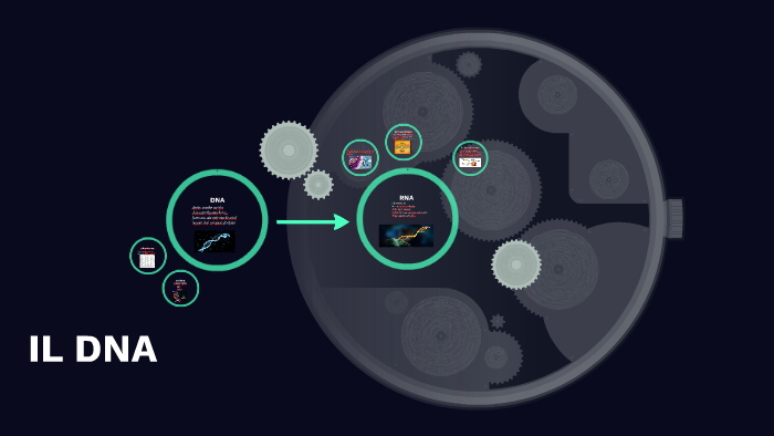 Il DNA by on Prezi