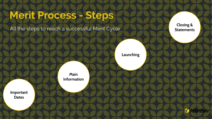 Merit Process by Camila Gallo on Prezi