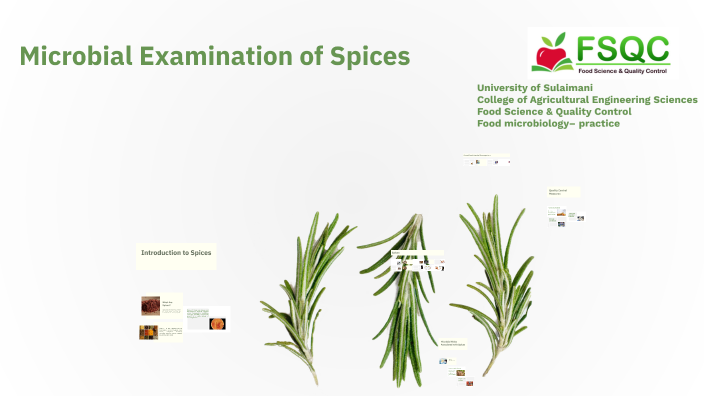 Microbial Examination of Spices by Azhin Kawa on Prezi