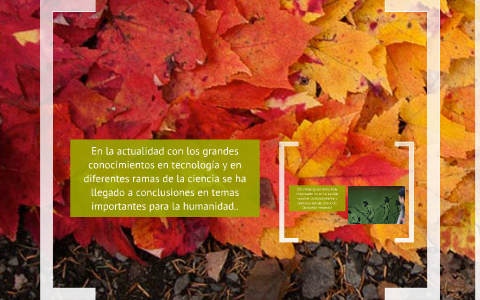 La Evolucion by Michael Calvo Cubillo on Prezi