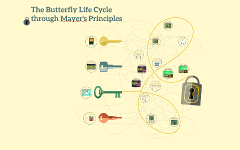 The Butterfly Life Cycle through Mayer's Principles by David Foster on ...