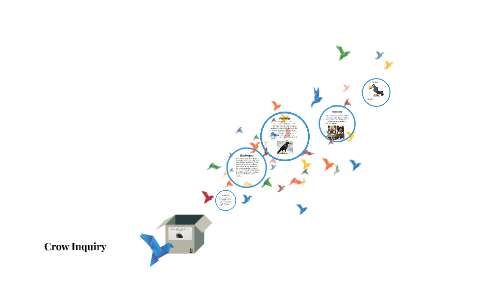 What would the world look like in Crow Vision? by bob wilson on Prezi