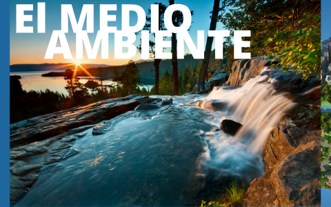 El MEDIO by Millie Bhatia on Prezi